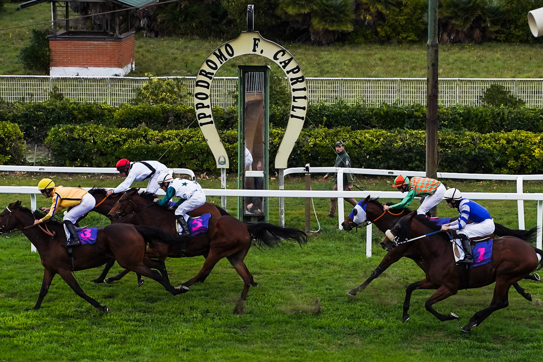 Caprilli, sabato 24 dicembre l'atteso Premio Inverno - QuiLivorno.it