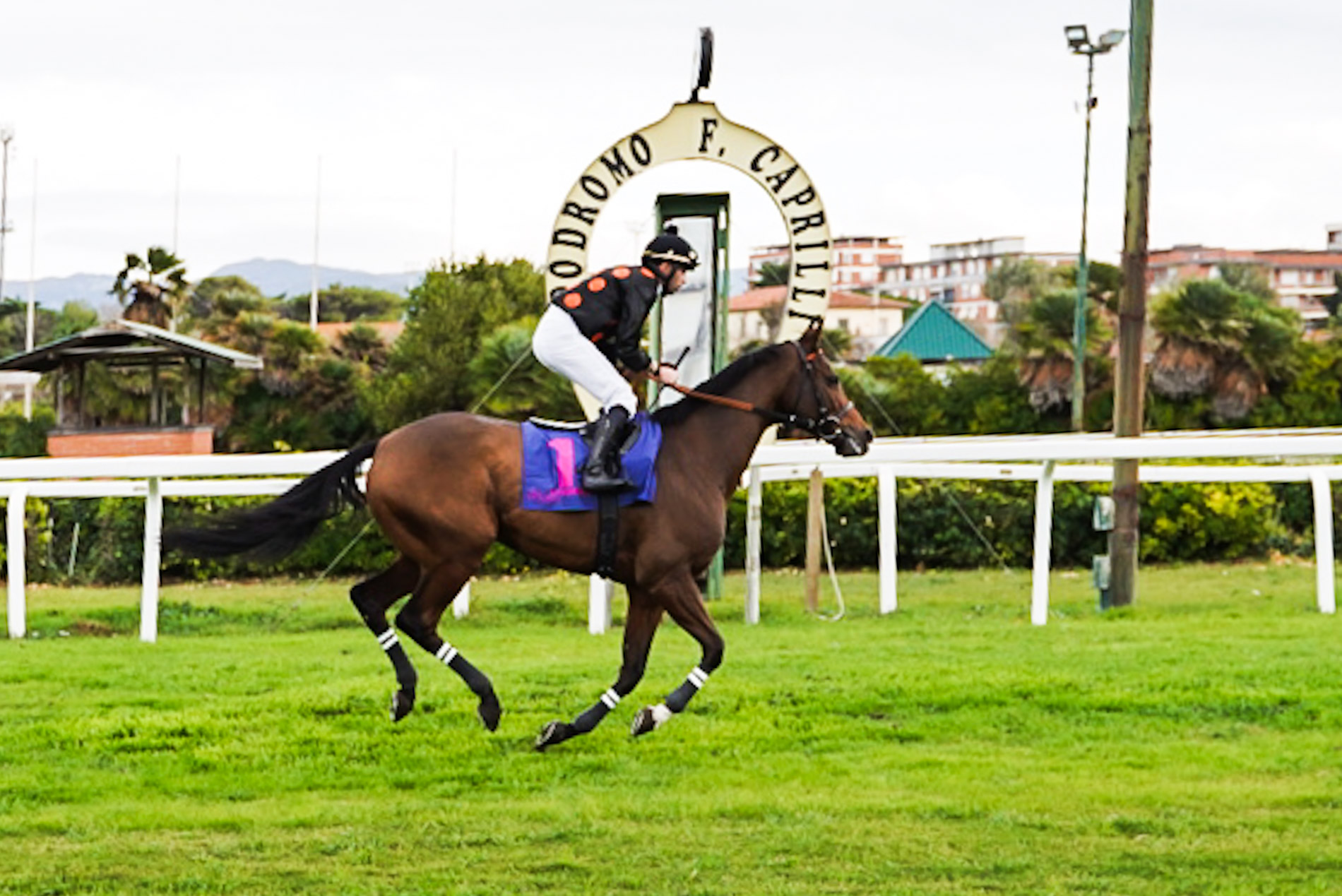 Caprilli, si torna in pista. Il programma della terza riunione ...