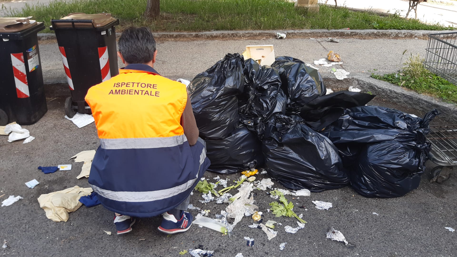 Ispettori ambientali, 37 nuove sanzioni - QuiLivorno.it
