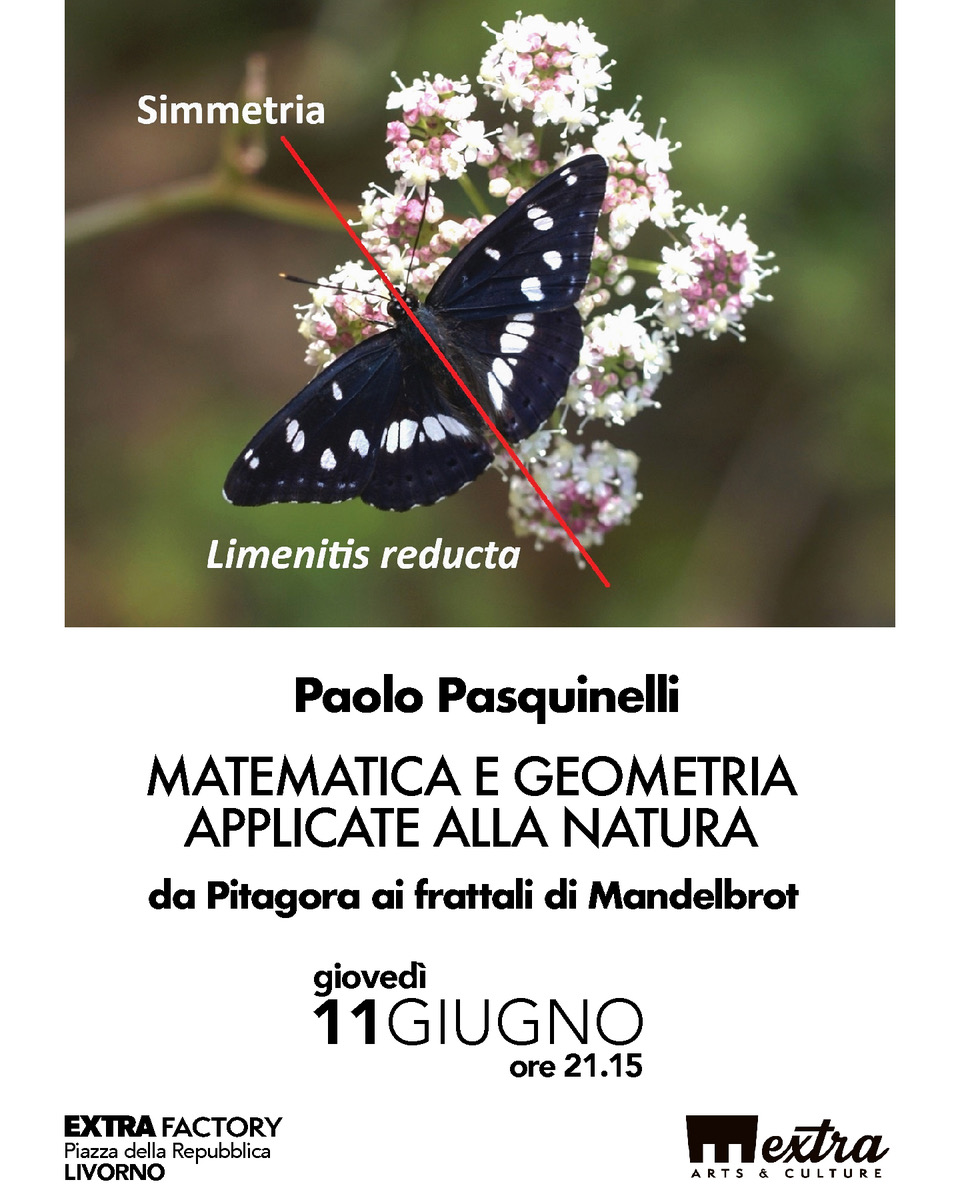Matematica e geometria applicate alla natura: da Pitagora ai frattali ...